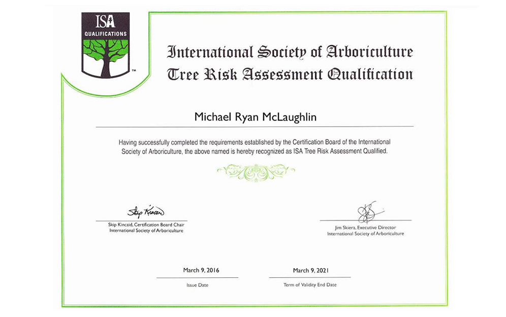 Documents - Mammoth Tree Service - Skyline Arborist